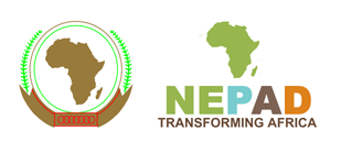 NEPAD - New Partnership for Africa's Development - SARECO